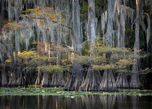 $603 Million for Project Cypress – Greater New Orleans Interfaith ...